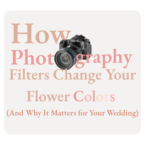 How Photography Filters Change Your Flower Colors (And Why It Matte...