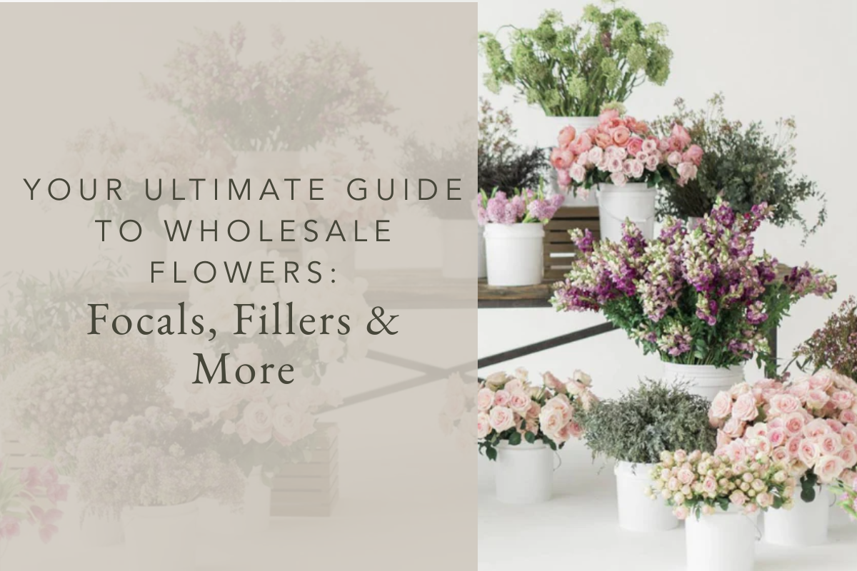 Your Ultimate Guide to Wholesale Flowers: Focals, Fillers and More ...