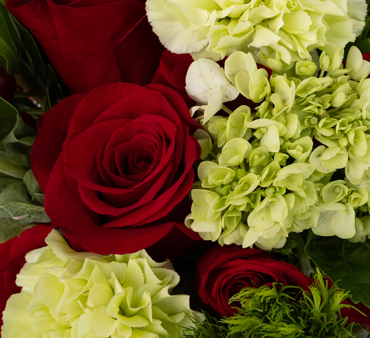 Joyous Noel Flower Collection