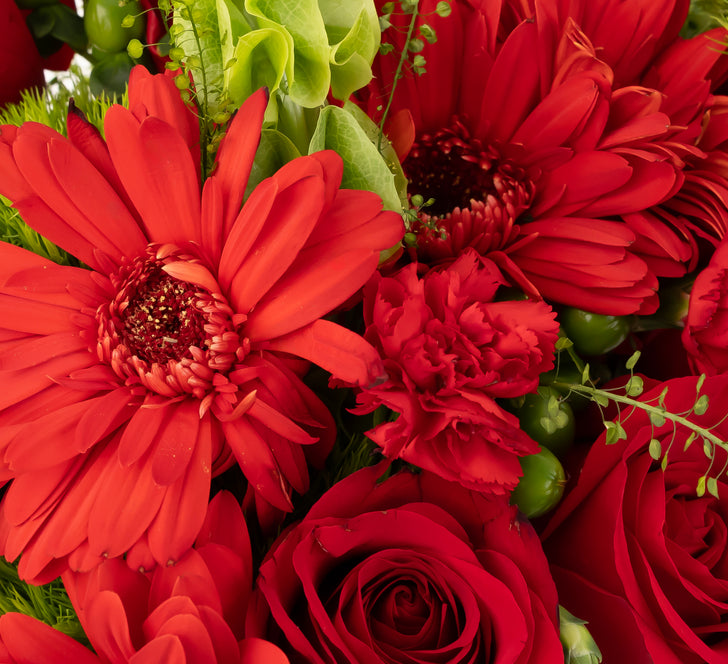 Merry And Bright Flower Collection