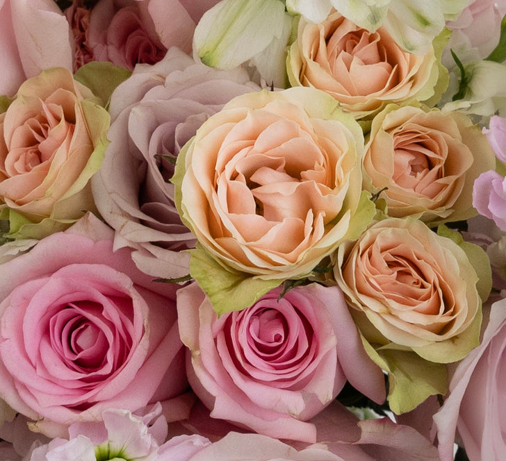 Pretty In Pink Flower Collection