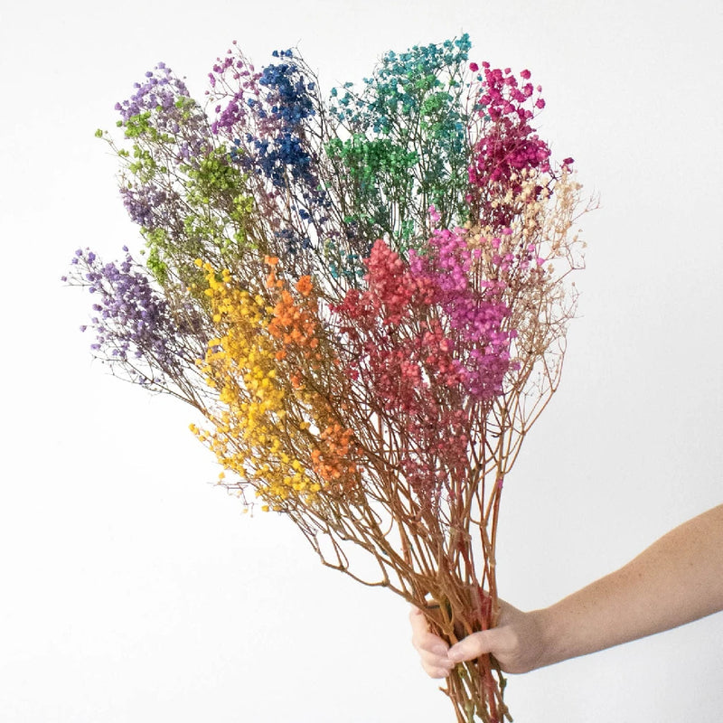 how to color baby breath flowers