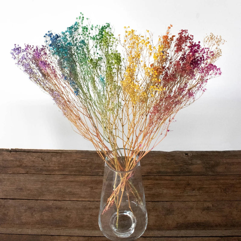 how to color baby breath flowers