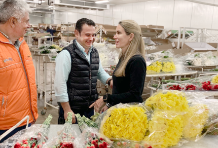 About Us - Fiftyflowers