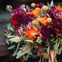 Shop By Color - FiftyFlowers