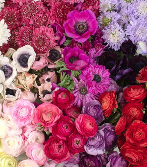 DIY in a Kit - FiftyFlowers